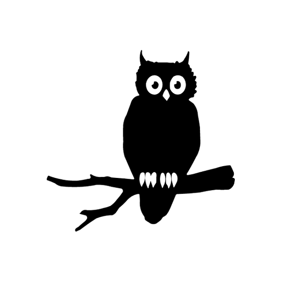 Awake Owl on Branch Decal