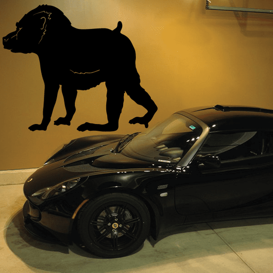 Baboon Decal