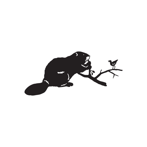 Beaver Eating Decal