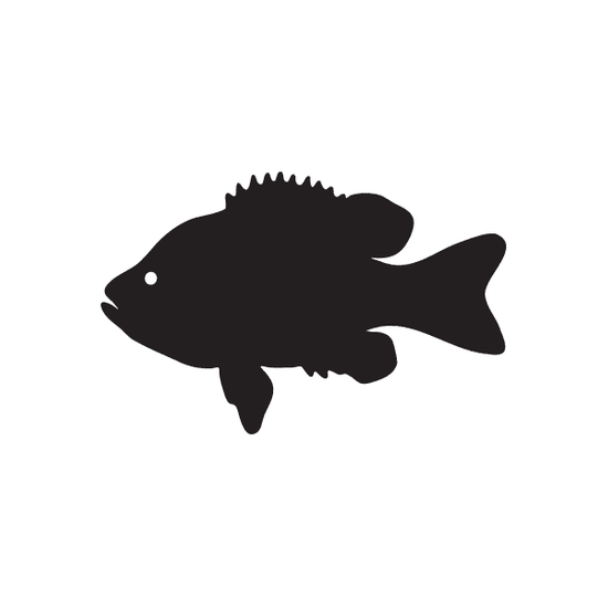 Bluegill Fish Decal
