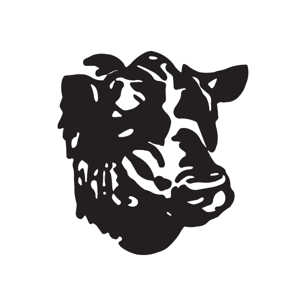 Brahman Cow Cattle Head Decal