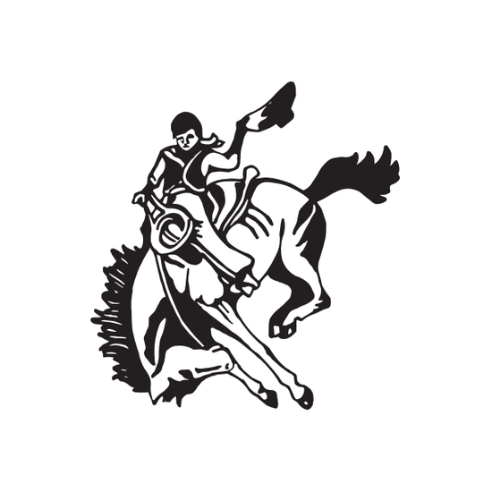 Bull Riding Wall Decal - Vinyl Decal - Car Decal - 034