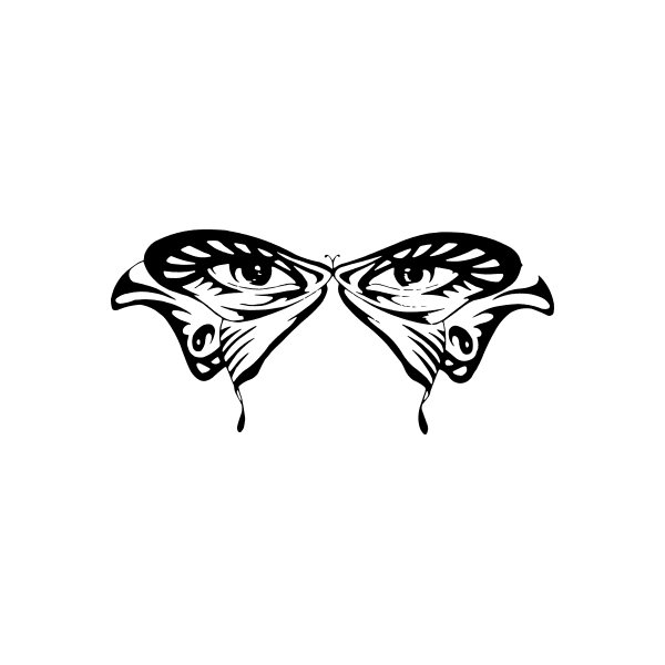 Butterfly Wall Decal - Vinyl Decal - Car Decal - CF148