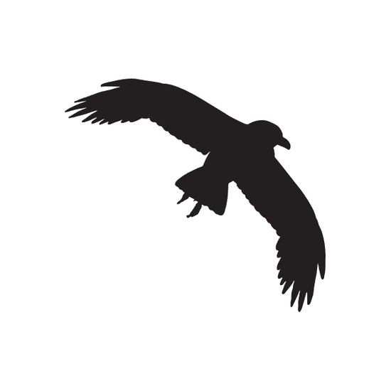 Circling Crow Silhouette Decal