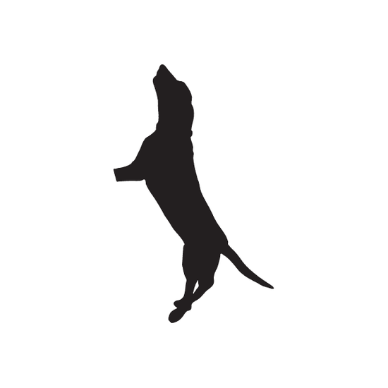 Climbing Dog Decal