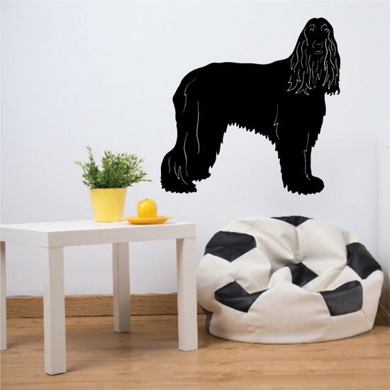 Curious Afghan Hound Decal