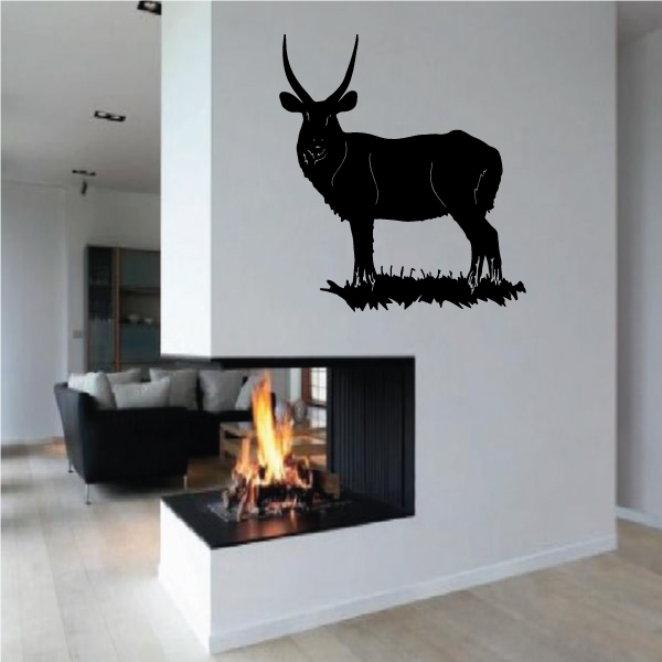 Elk Staring on Grass Decal