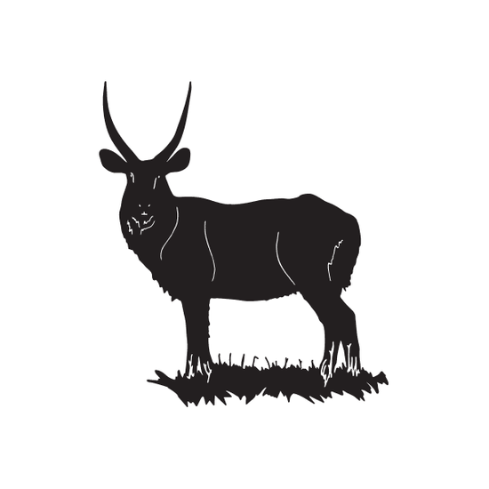 Elk Staring on Grass Decal