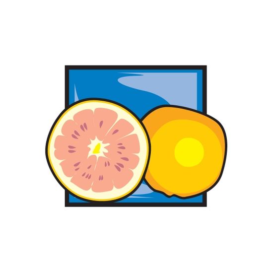 Grapefruit Sticker