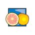 Grapefruit Sticker