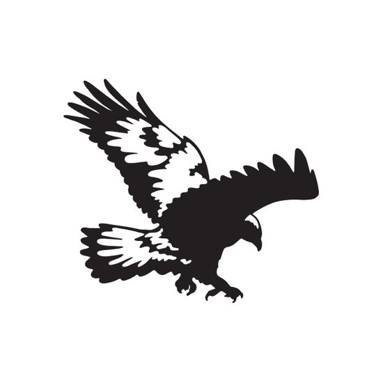 Hawk Stretching Wings Decal
