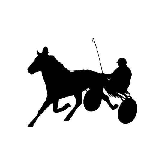 Horse racing Wall Decal - Vinyl Decal - Car Decal - Bl006