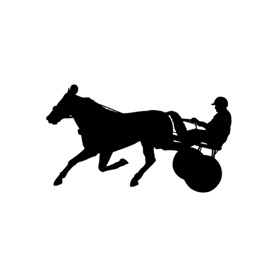Horse racing Wall Decal - Vinyl Decal - Car Decal - Bl007