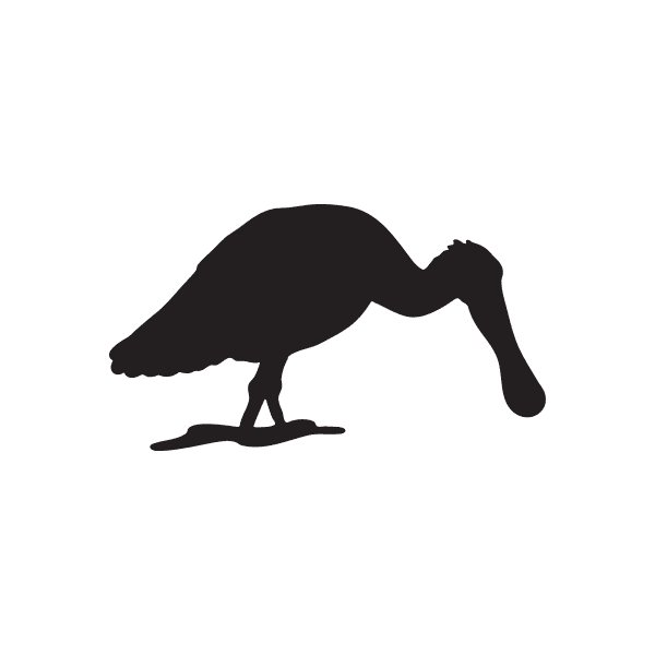 Pelican Wall Decal - Vinyl Decal - Car Decal - 007