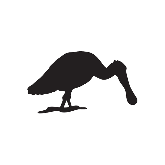 Pelican Wall Decal - Vinyl Decal - Car Decal - 007