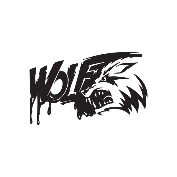 Racing Graphic Wall Decal - Vinyl Decal - Car Decal - DC 8036