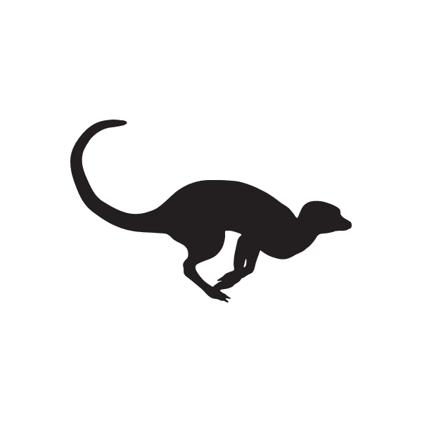 Running Meerkat Decal