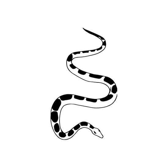 Sea Snake Decal