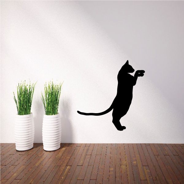 Siamese Cat Standing Up Decal
