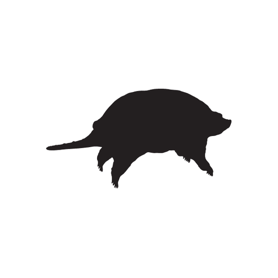 Snapping Turtle Decal