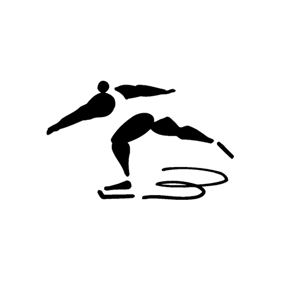 Track and field Wall Decal - Vinyl Decal - Car Decal - Bl044