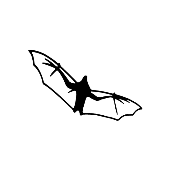 Vampire Bat Decal