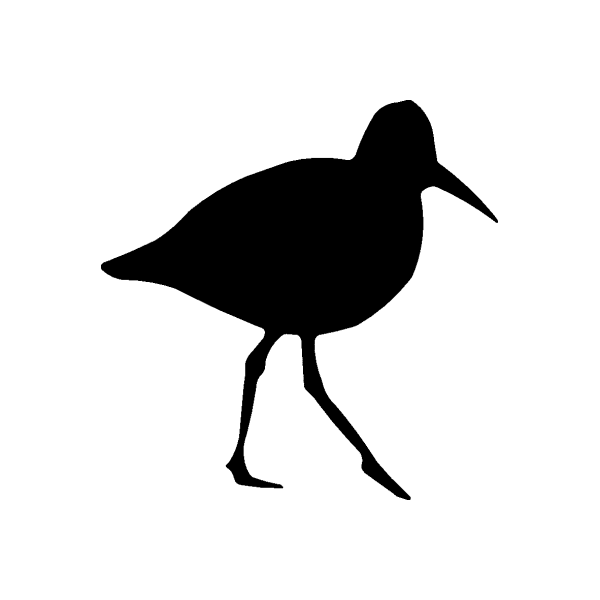 Walking Shore Bird Decal