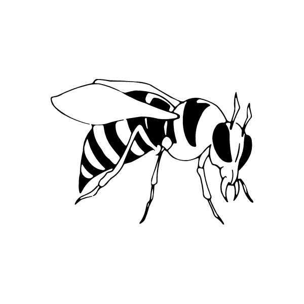 Wasp Wall Decal - Vinyl Decal - Car Decal - CF153