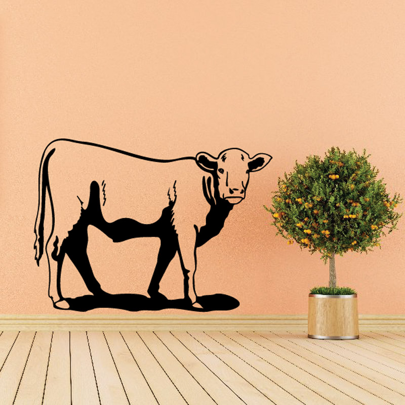 Show Heifer Decal
