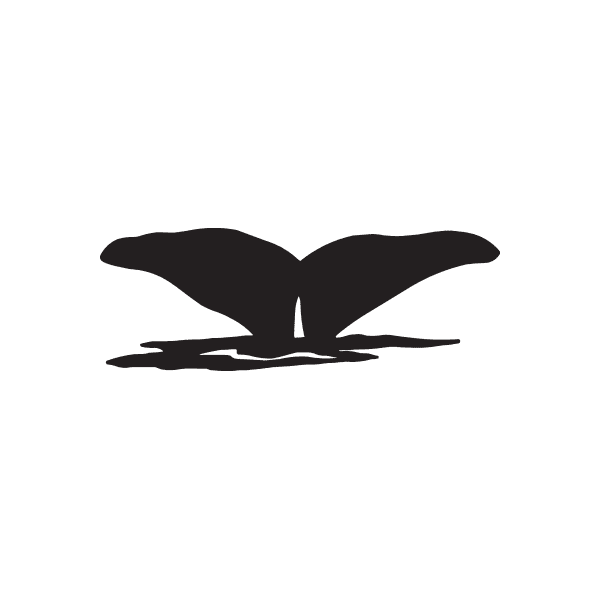 Whale Fin Decal