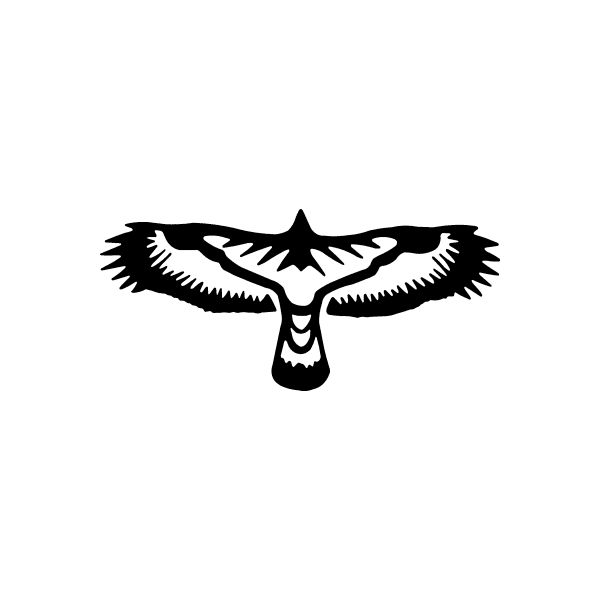 Wings Spread Hawk Decal