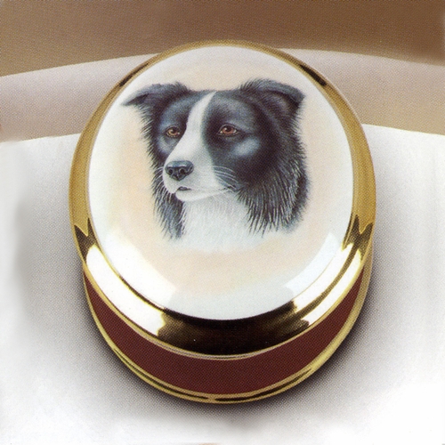 Border Collie Box