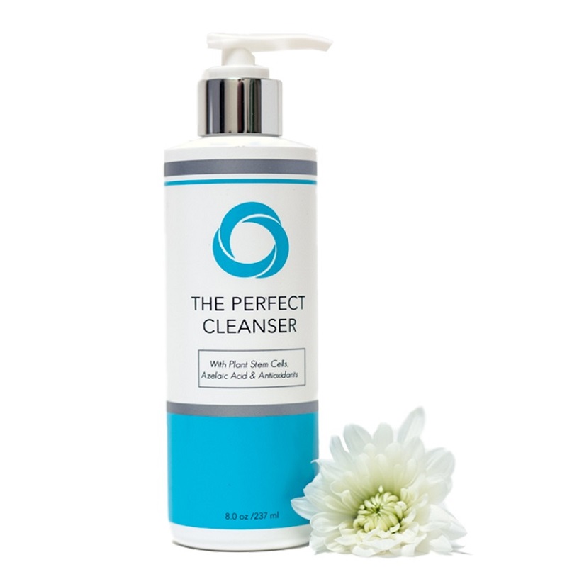 THE PERFECT Cleanser 8 oz