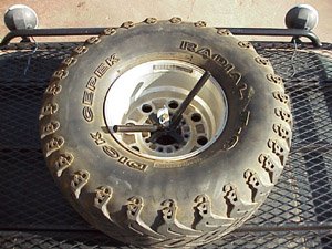 Predator Roof Rack Tire Mount