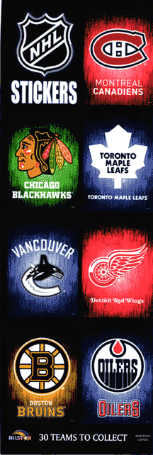 NHL Hockey Team Stickers 300pcs
