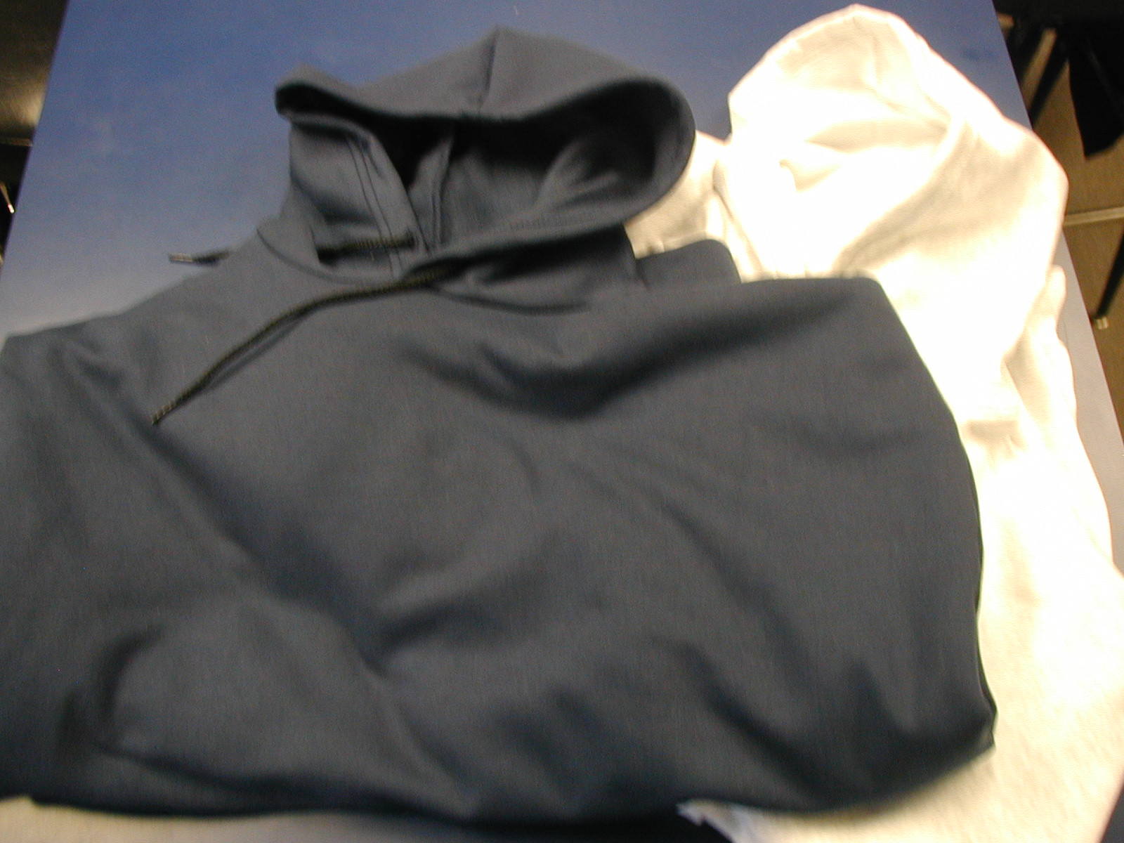 USW OR UAW or TEAMSTER Embroidered Hoodie