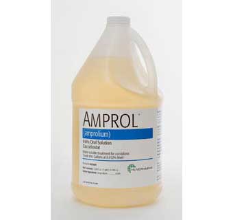 AMPROL 9.6% (AMPROLIUM) ORAL SOLUTION COCCIDIOSTAT
