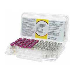 Bronchi-Shield III Intranasal Vaccine