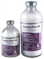 Combi-pen- 48