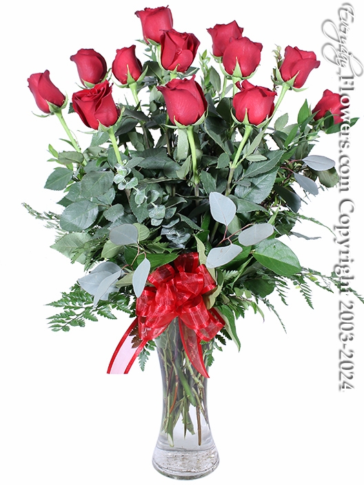 Dozen Long Stem Red Roses Same Day Delivery