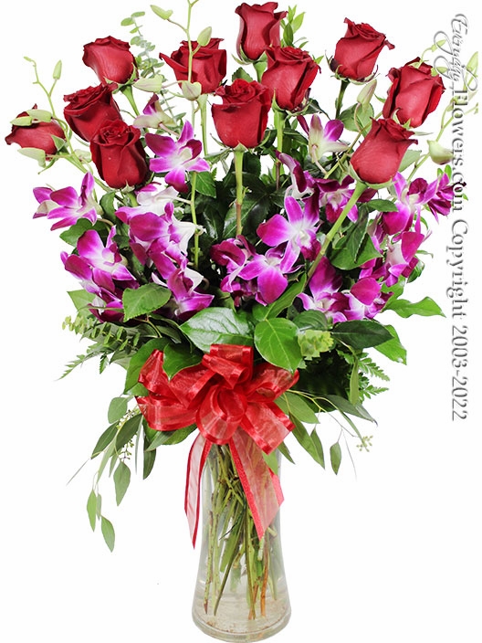Dozen Long Stem Red Roses Same Day Delivery