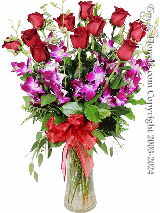 Dozen Red Roses & Orchids Orange County, CA Local Florist