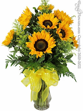 Sunflowers - Flower Delivery by Everyday Flowers