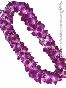 Graduations Leis - Orchid Leis & Ribbon Leis - Everyday Flowers