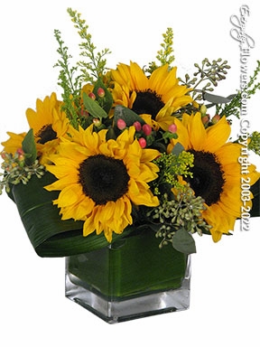 Everyday Flowers Orange County Florist