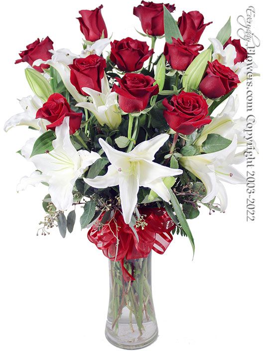 Dozen Long Stem Red Roses Same Day Delivery