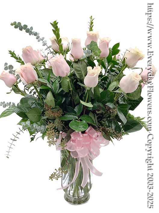 Two Dozen Light Pink Roses Orange County Florist Everyday Flowers