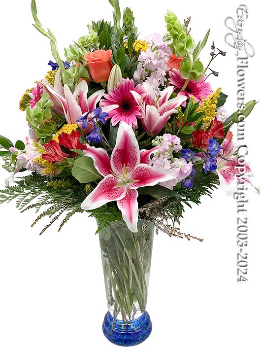 Vivacious Colors | Everyday Flowers