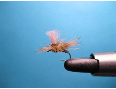 Best Caddis Fly Patterns | Caddis Emergers | Caddis nymphs | Trout Flies