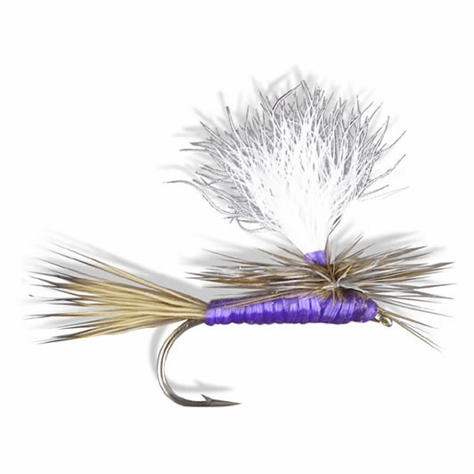 Carlson's Purple Haze - Trout Dry Flies